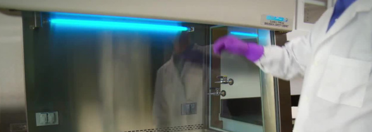 Biosafety Cabinets – Environmental Safety and Health - UMBC